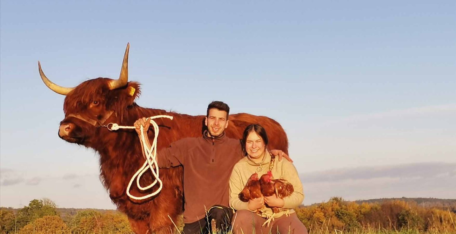 Rinder und Hühner – www.highland.de